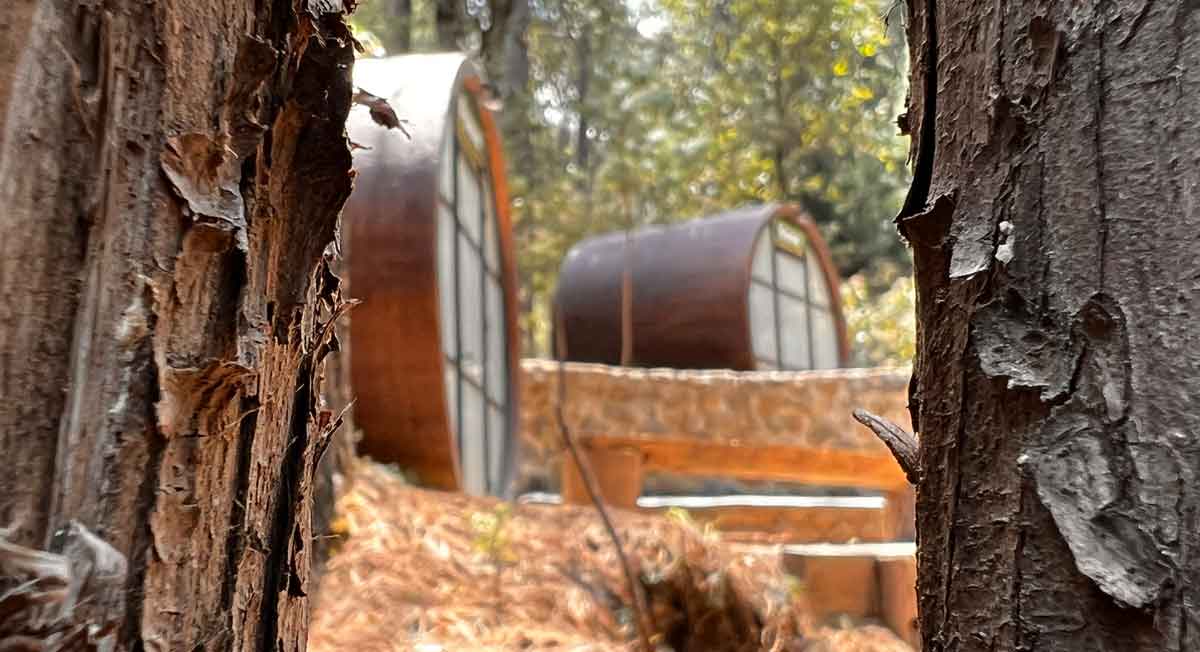 Tubohotel en medio de un bosque cerca de Toluca, precios y cómo llegar ...
